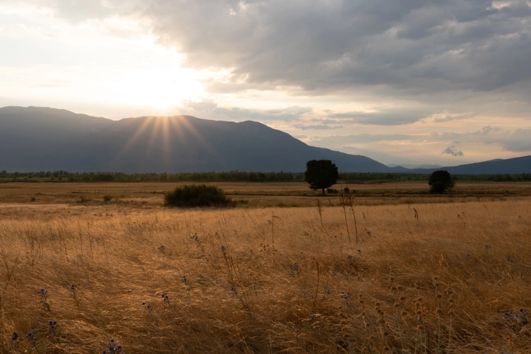 Zelene milje: Livanjsko polje – najveće plavno kraško polje na svijetu ...